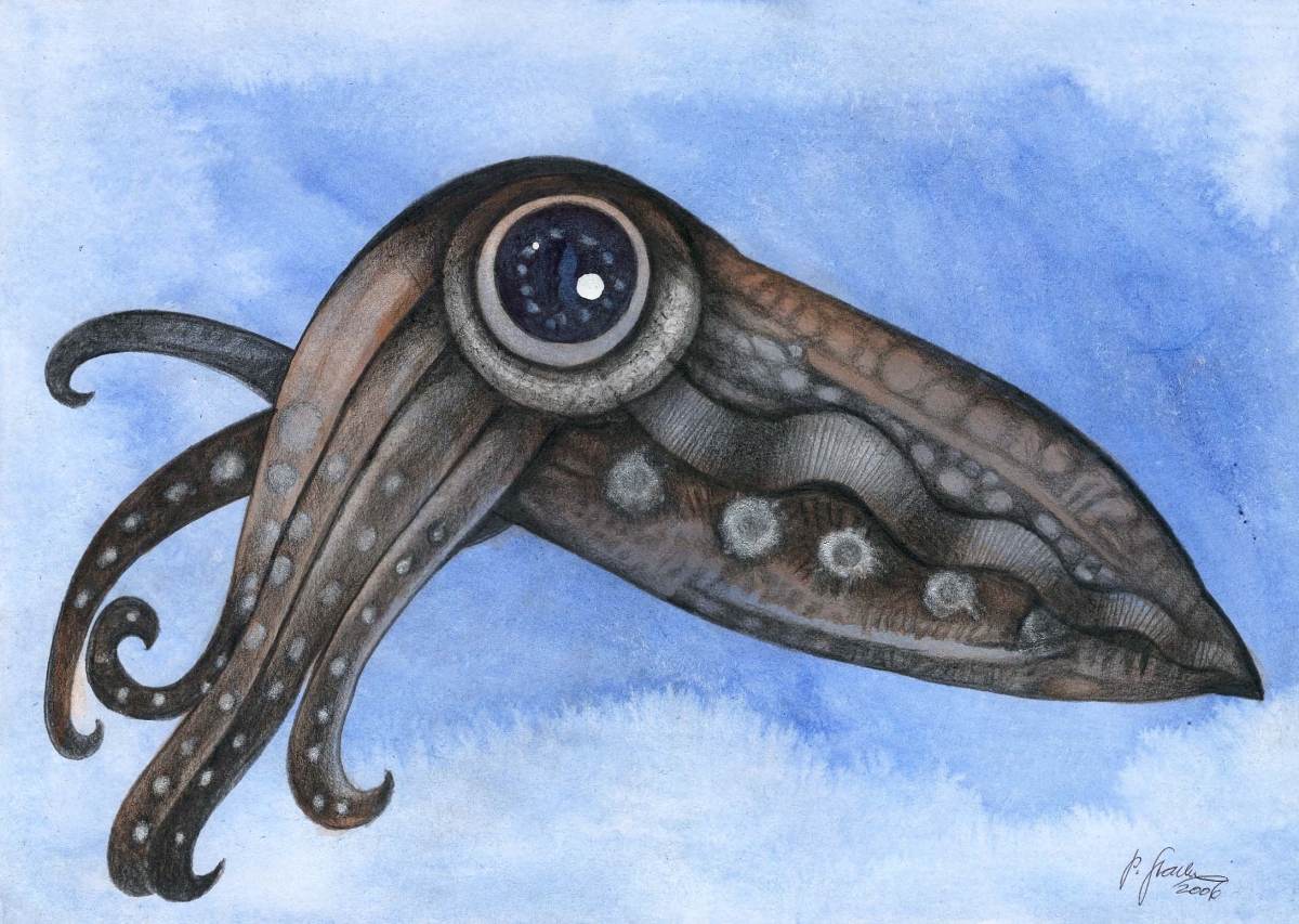 Fish | Petr STACHO