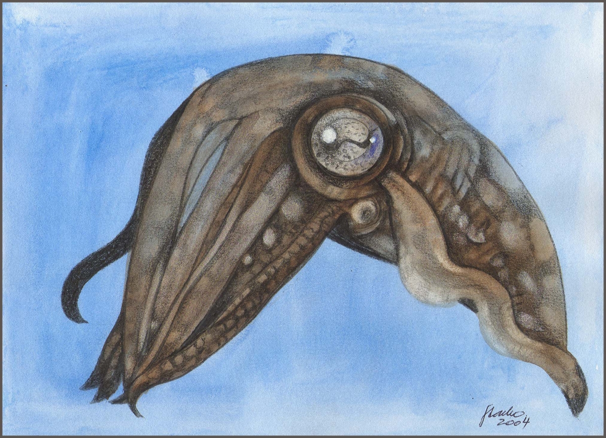 Fish | Petr STACHO