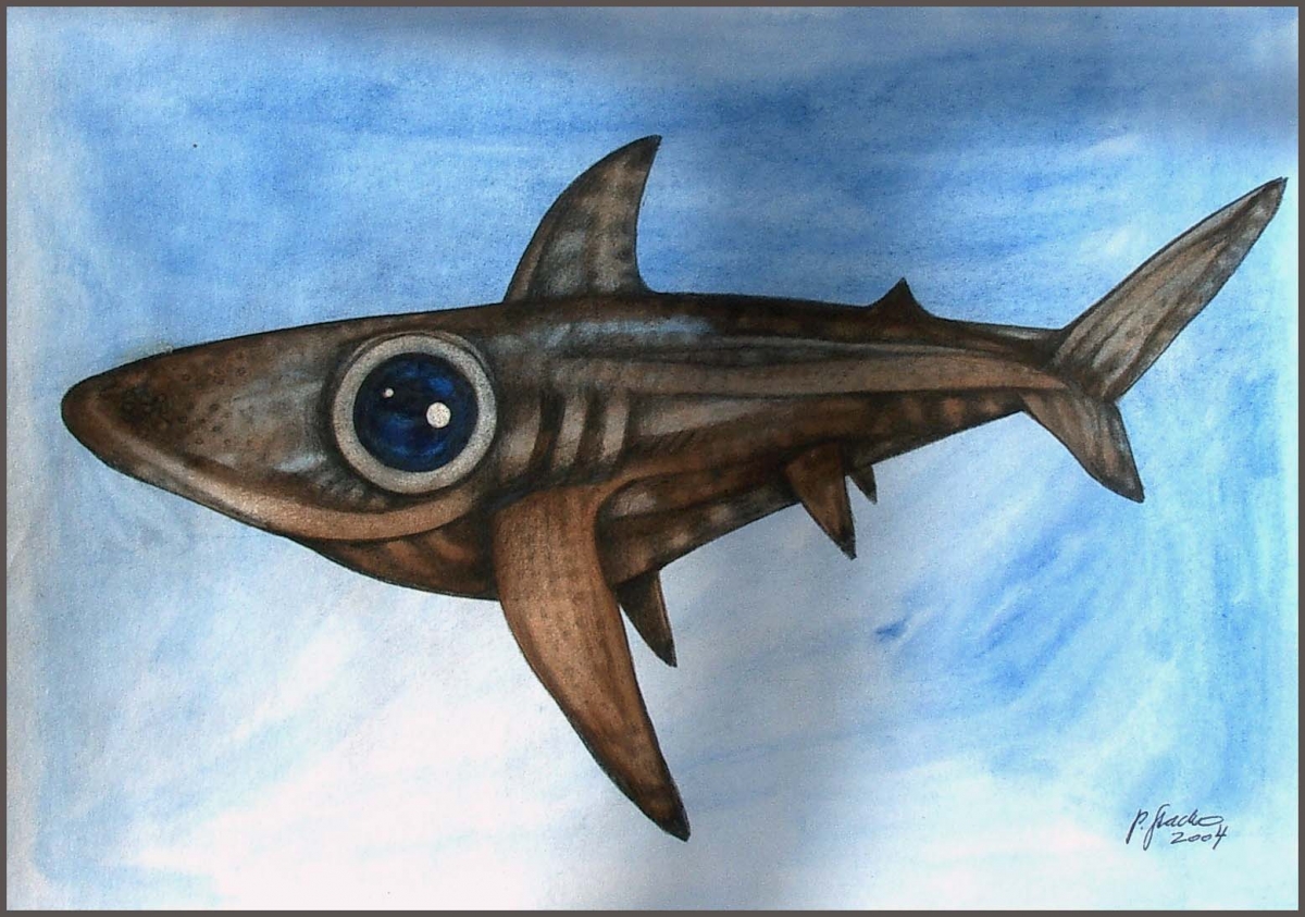 Fish | Petr STACHO